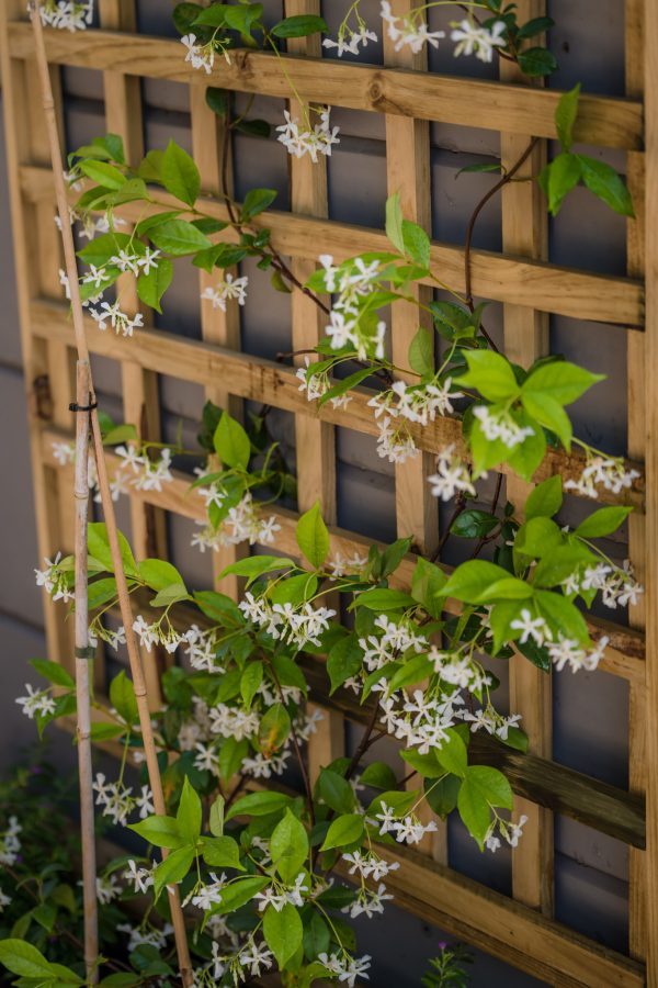 Garden Products Image Gallery | The Pole Yard