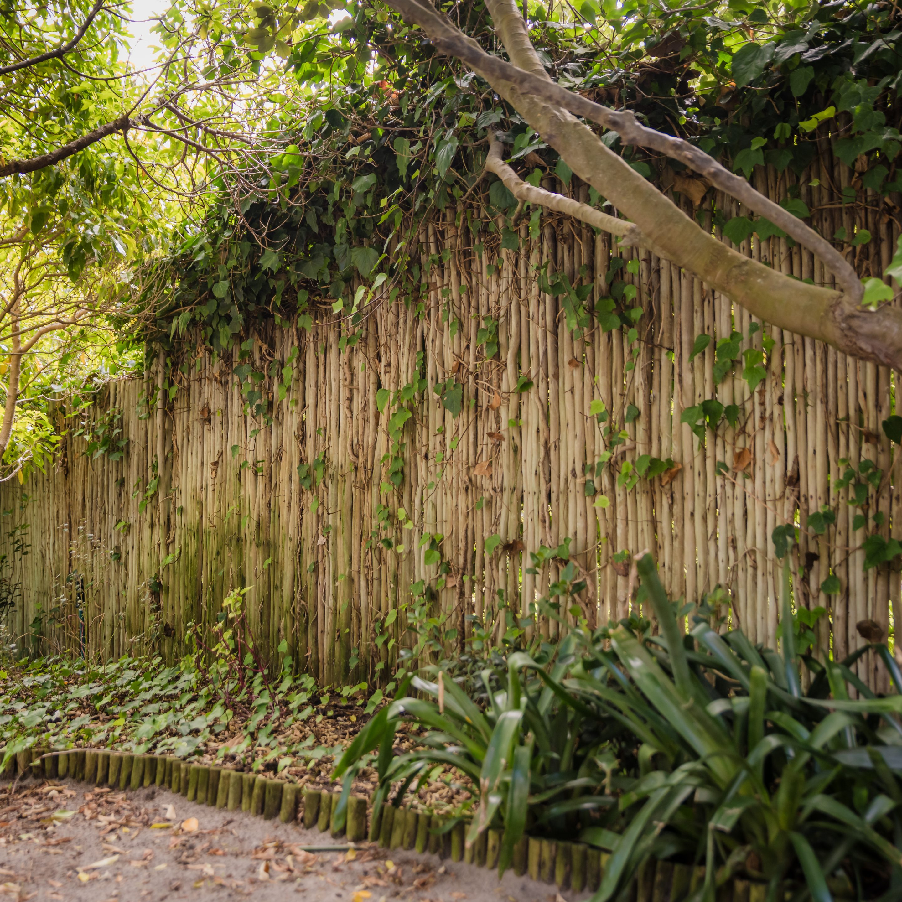 Fencing – The Pole Yard